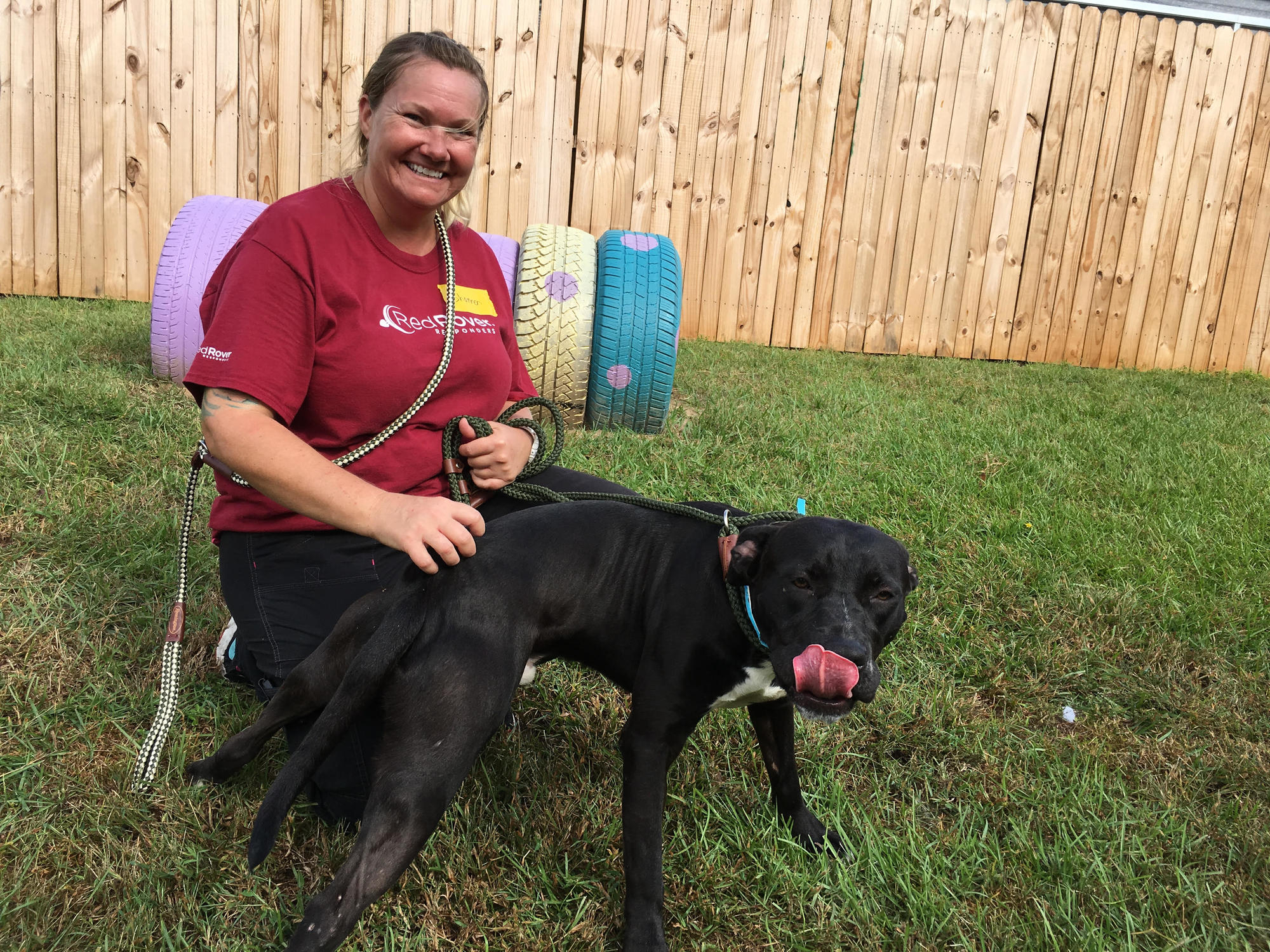 RedRover Caring for Animals in Hurricane Michael Aftermath - RedRover