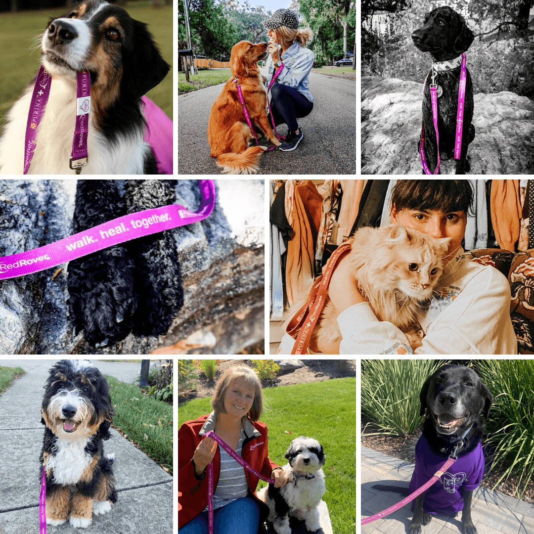 The Purple Leash Project - RedRover