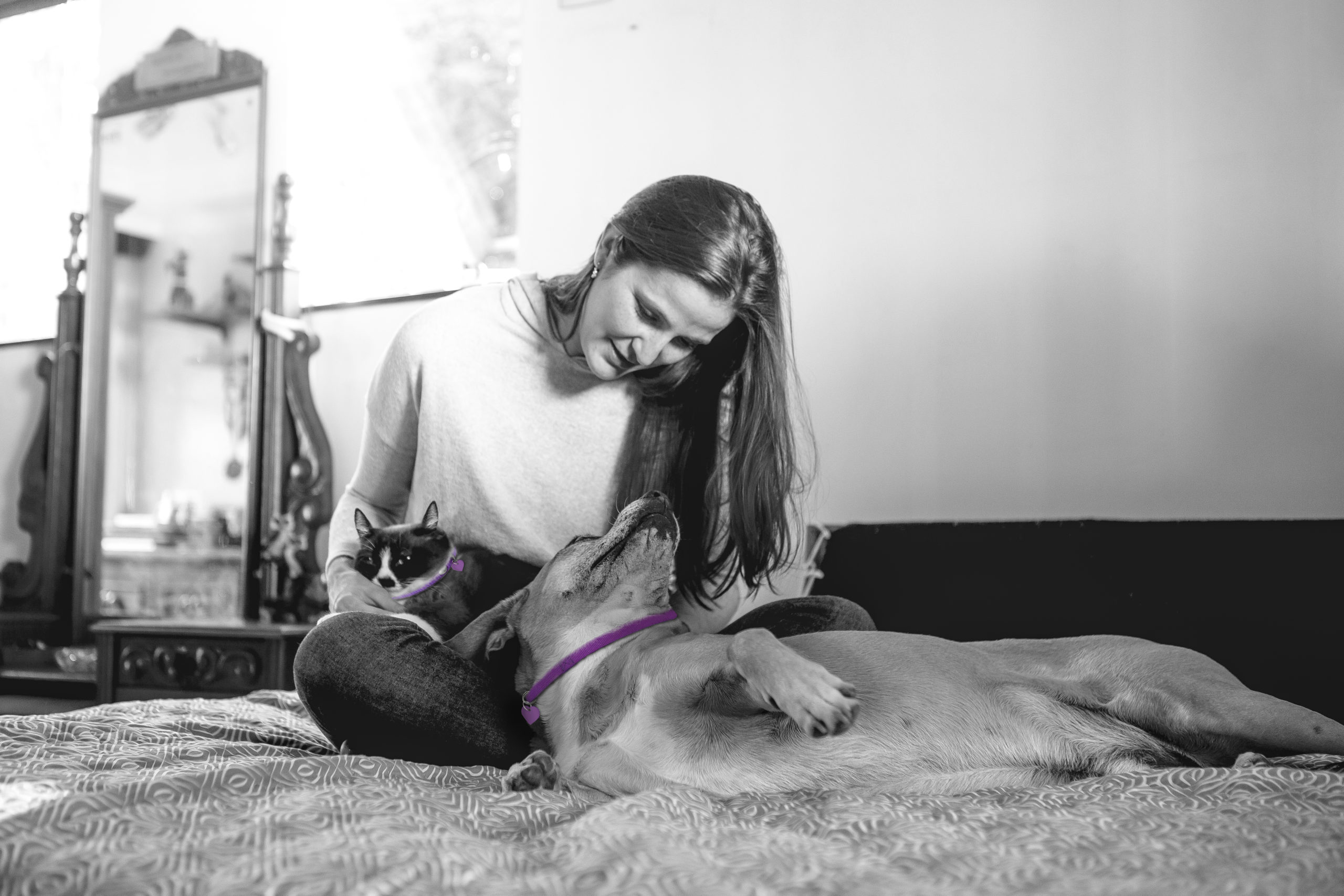 Thank you for your interest in the Purple Leash Project! - RedRover