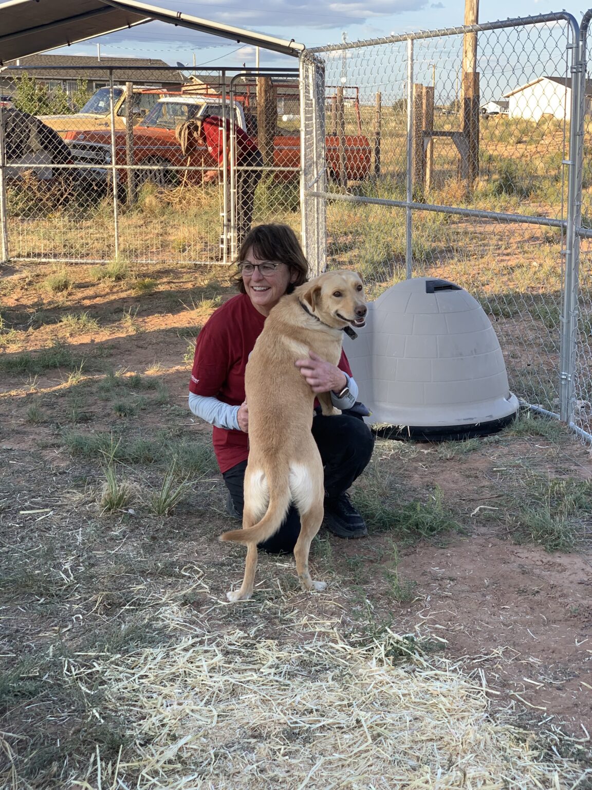 RedRover Responders Build Safe Enclosures for Outdoor Dogs on the ...