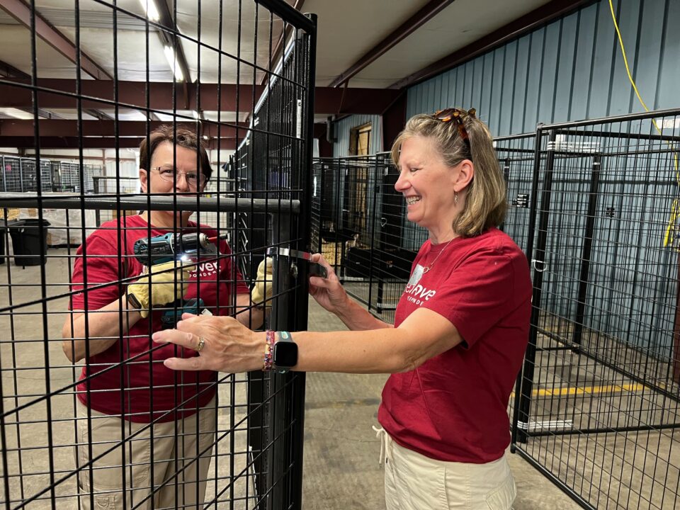 RedRover Responders Volunteers Brought Dogs and Puppies from Crisis to ...