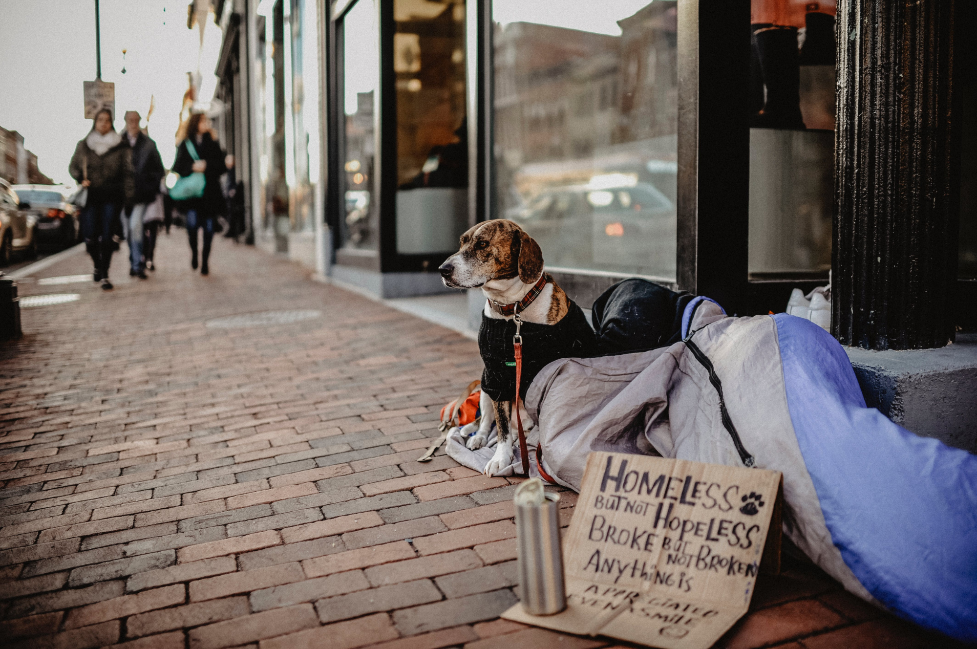 $300,000 in Funding Enables Homeless Shelters to Welcome People AND ...