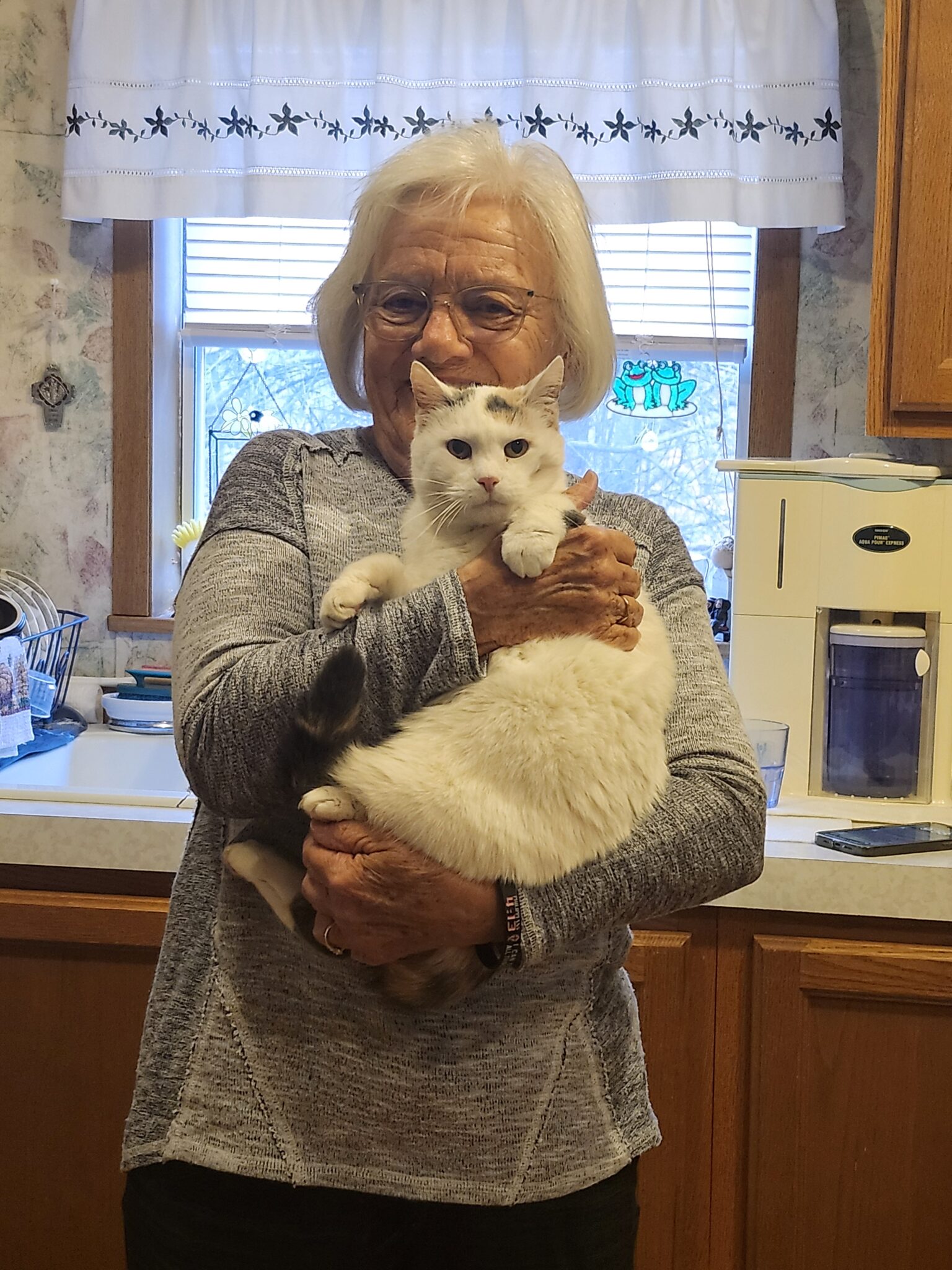 “A Gift in My Life” – Mama Cat’s Happy Tail - RedRover